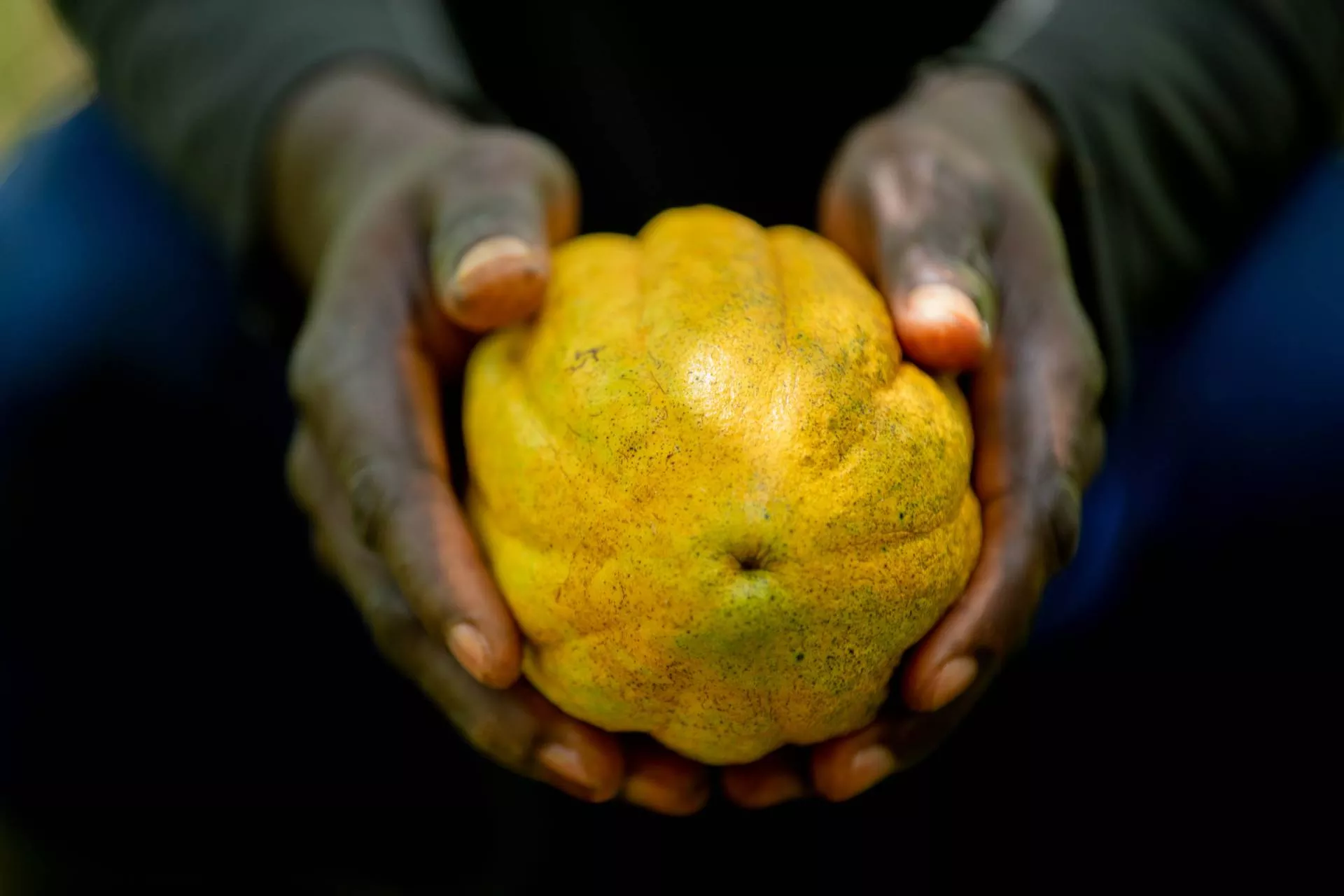 Nestle's Sustainable Cocoa Brands | Nestlé Cocoa Plan