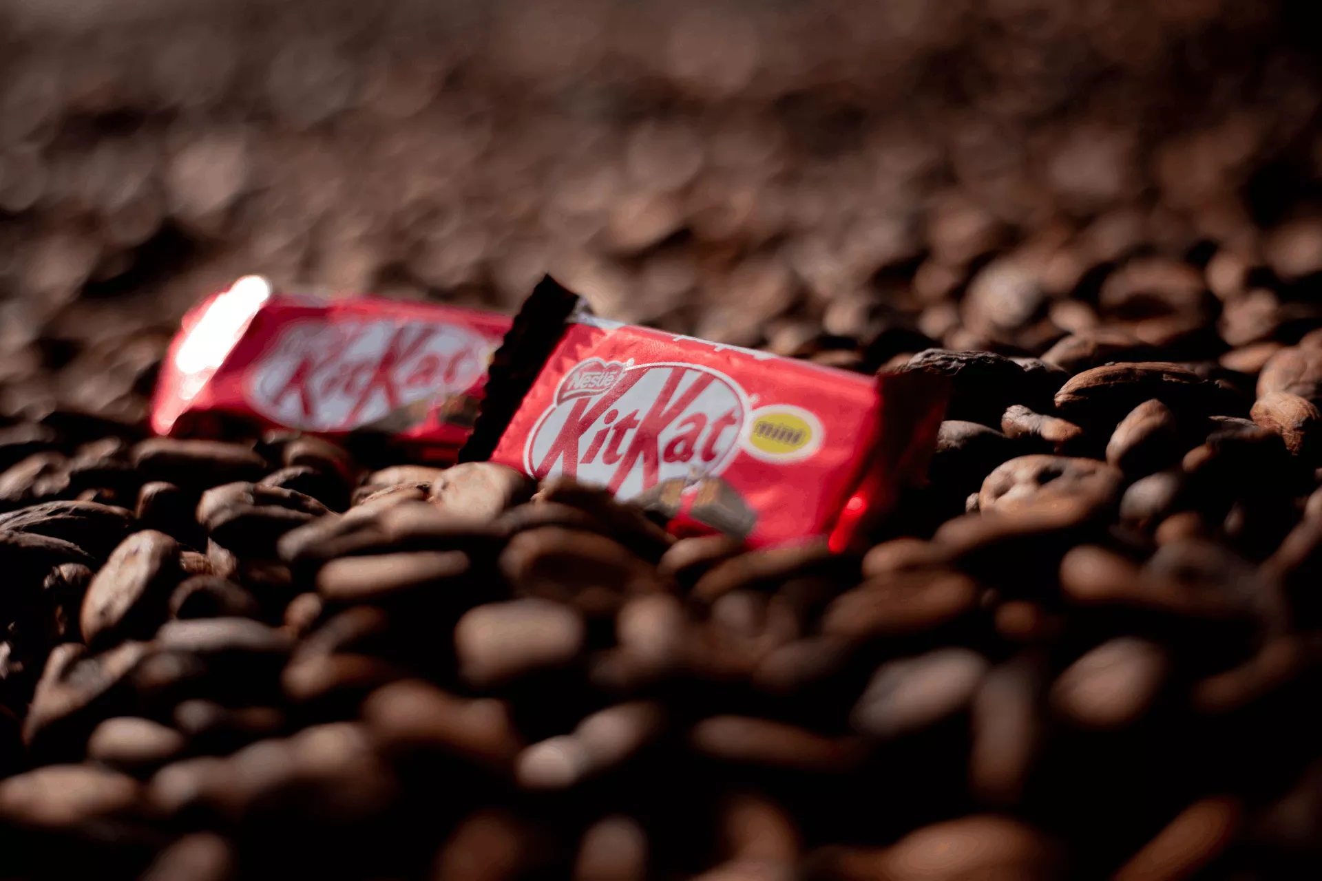 Sustainable Cocoa | Cocoa Cultivation | Nestlé Cocoa Plan