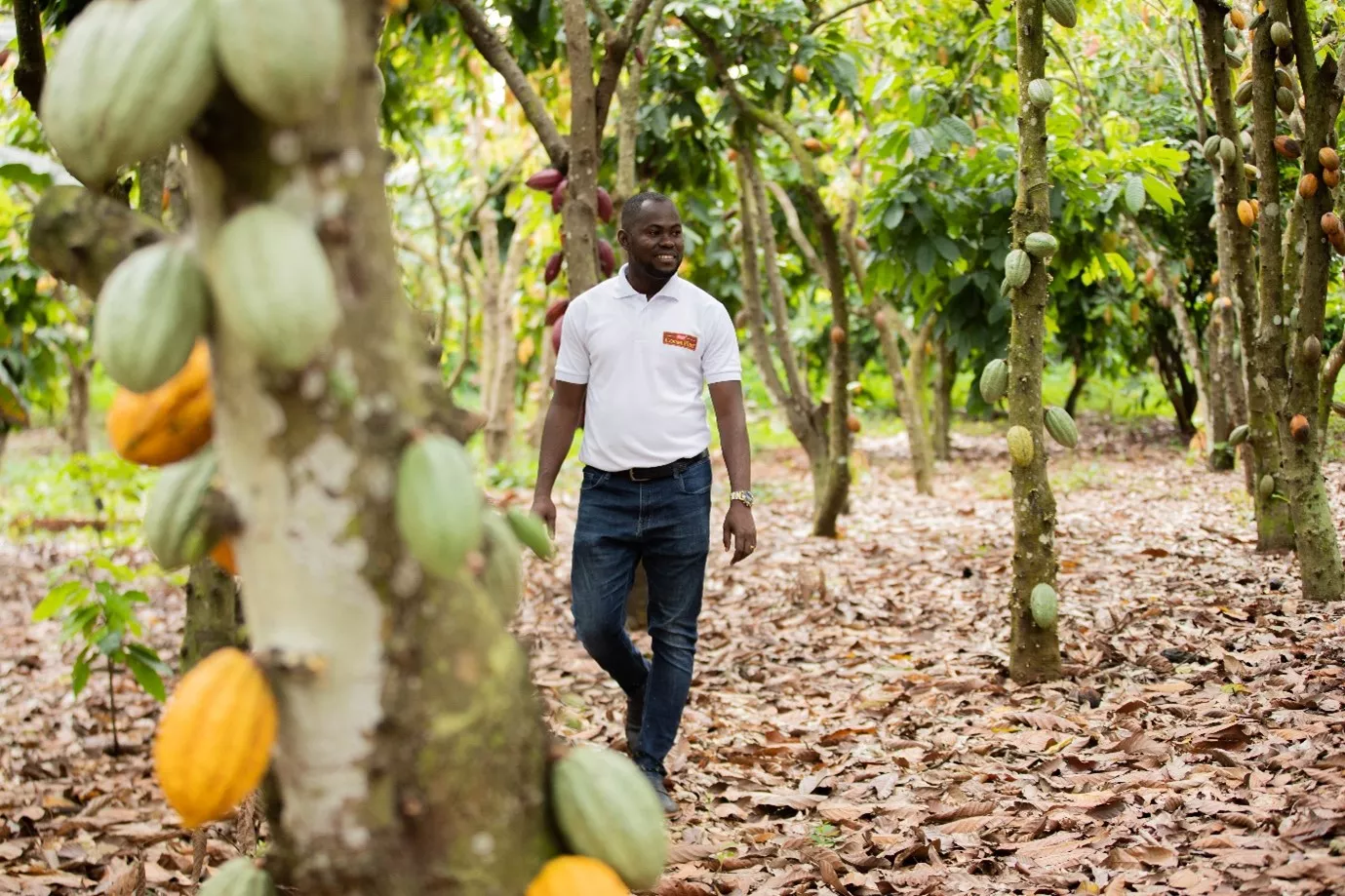 Our Stories Behind Our Cocoa Journey | Nestlé Cocoa Plan